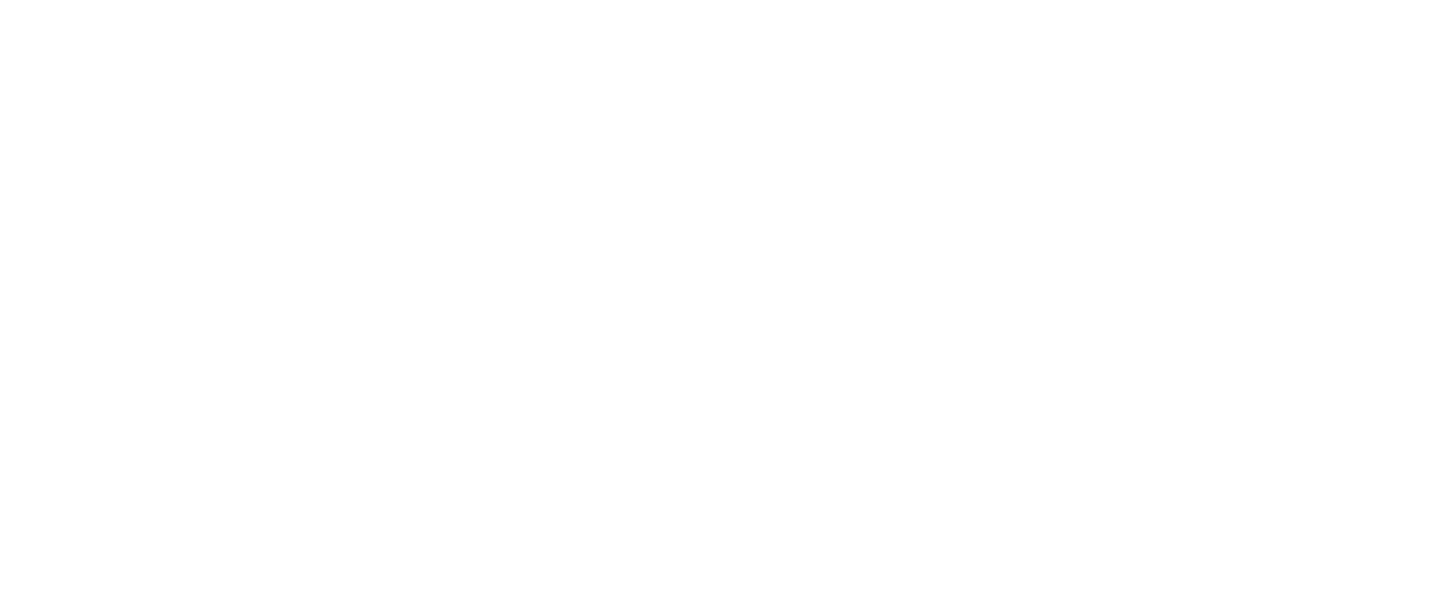 CIR 2024 - CIR 2024